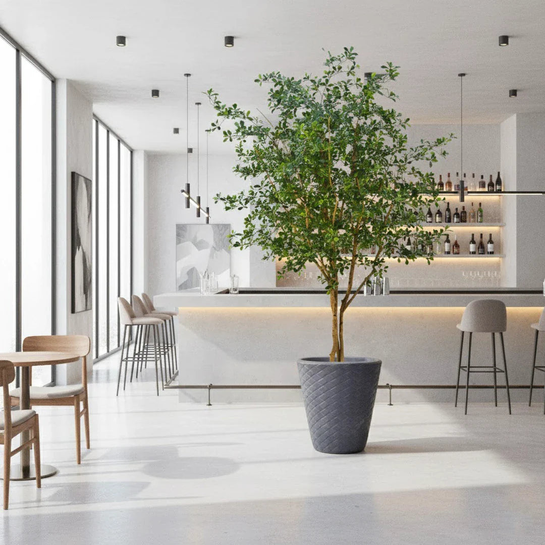 Künstlicher Olivenbaum - David | 300 cm online kaufen